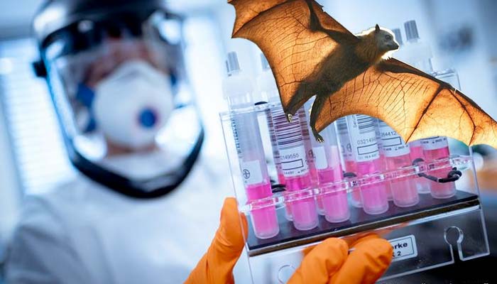 Did coronavirus really originate in a Chinese laboratory? - Gagrule.net