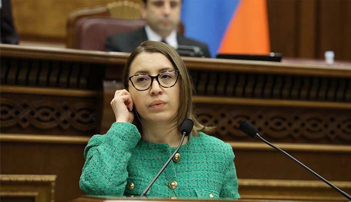 Kristinne Grigoryan was elected as the new Human Rights Defender of ...