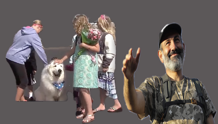 In cormorant (Minnesota), a dog named Duke was elected mayor 4 times ...